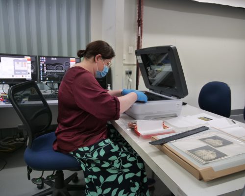 Scanning | Digitising Collections SA